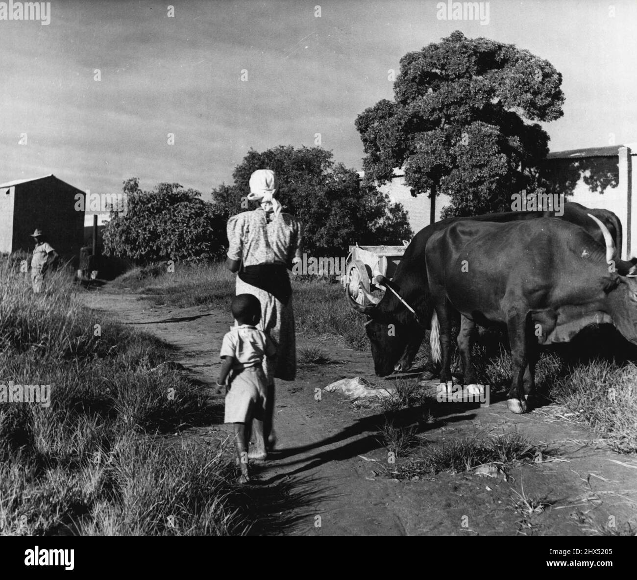 Mcherengi-Life On A Southern Rhodesian Farm - The working day begins at ...