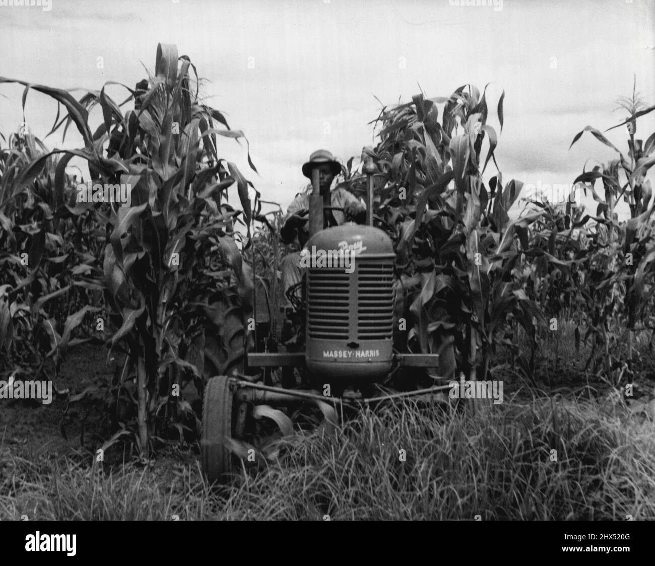 Southern rhodesian farm hi-res stock photography and images - Alamy