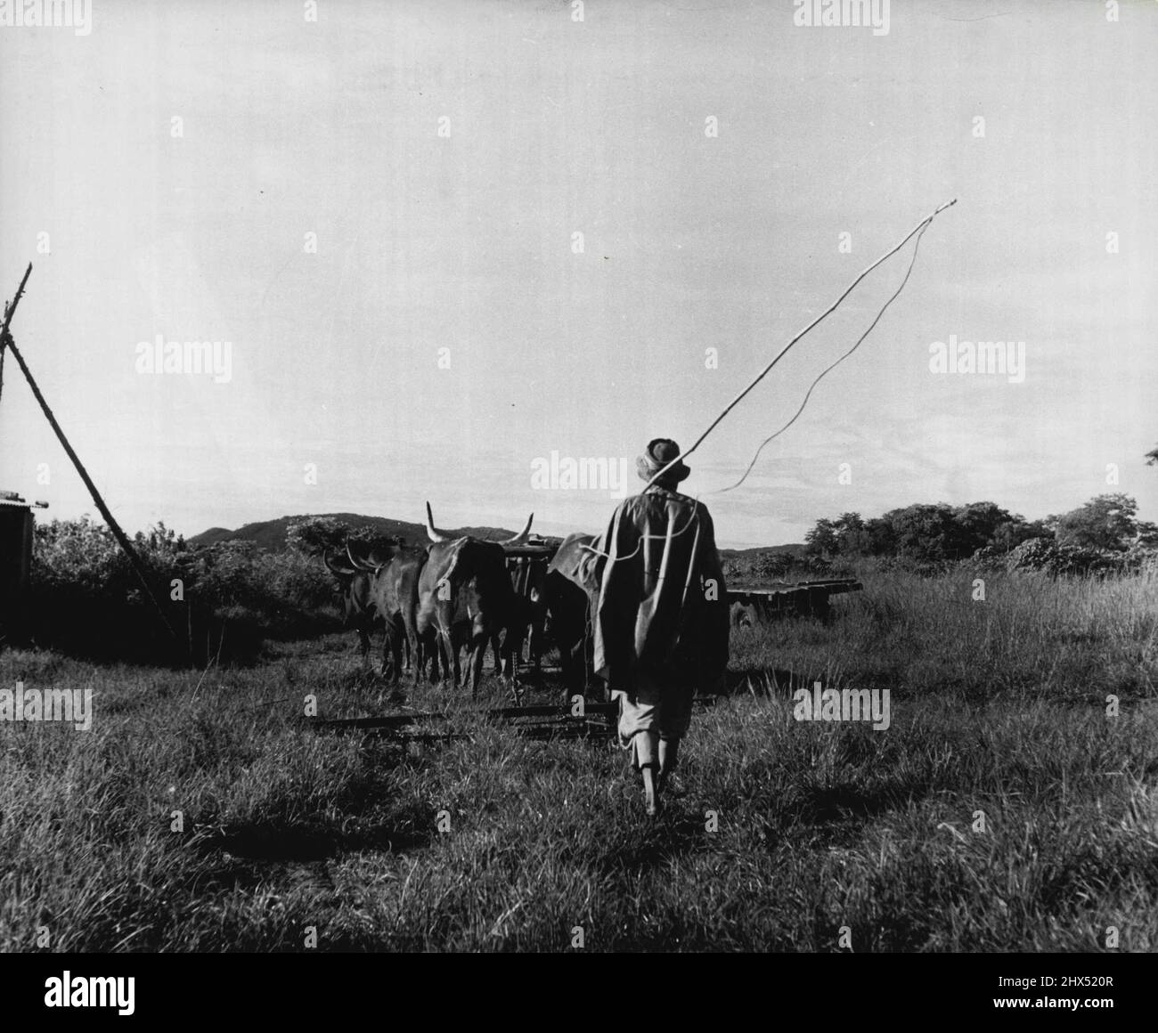 Southern rhodesian farm hi-res stock photography and images - Alamy