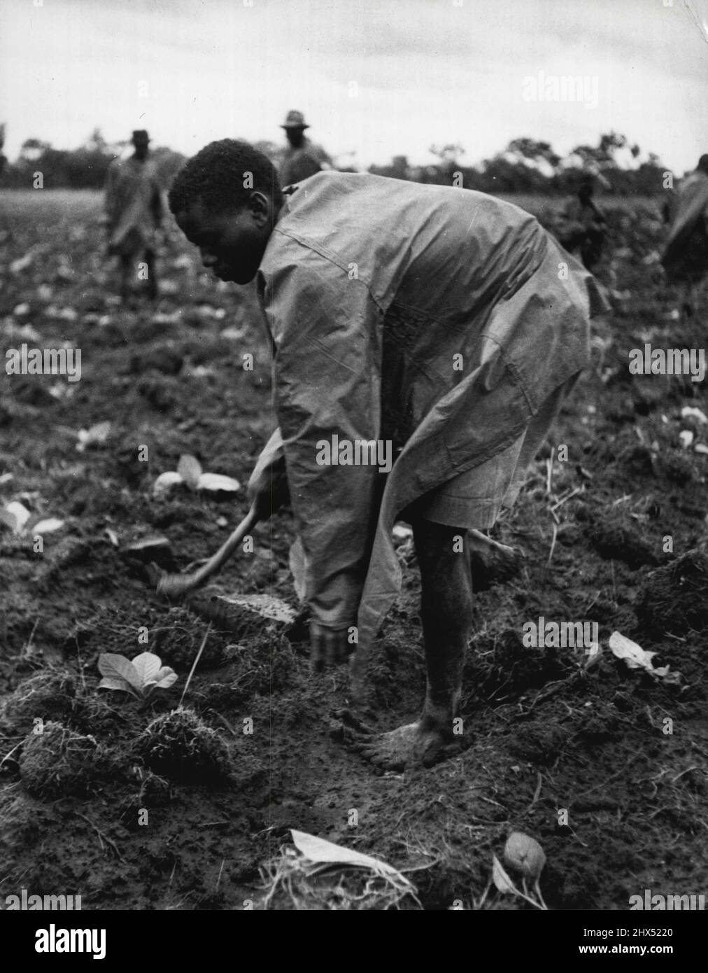 Southern rhodesian farm hi-res stock photography and images - Alamy