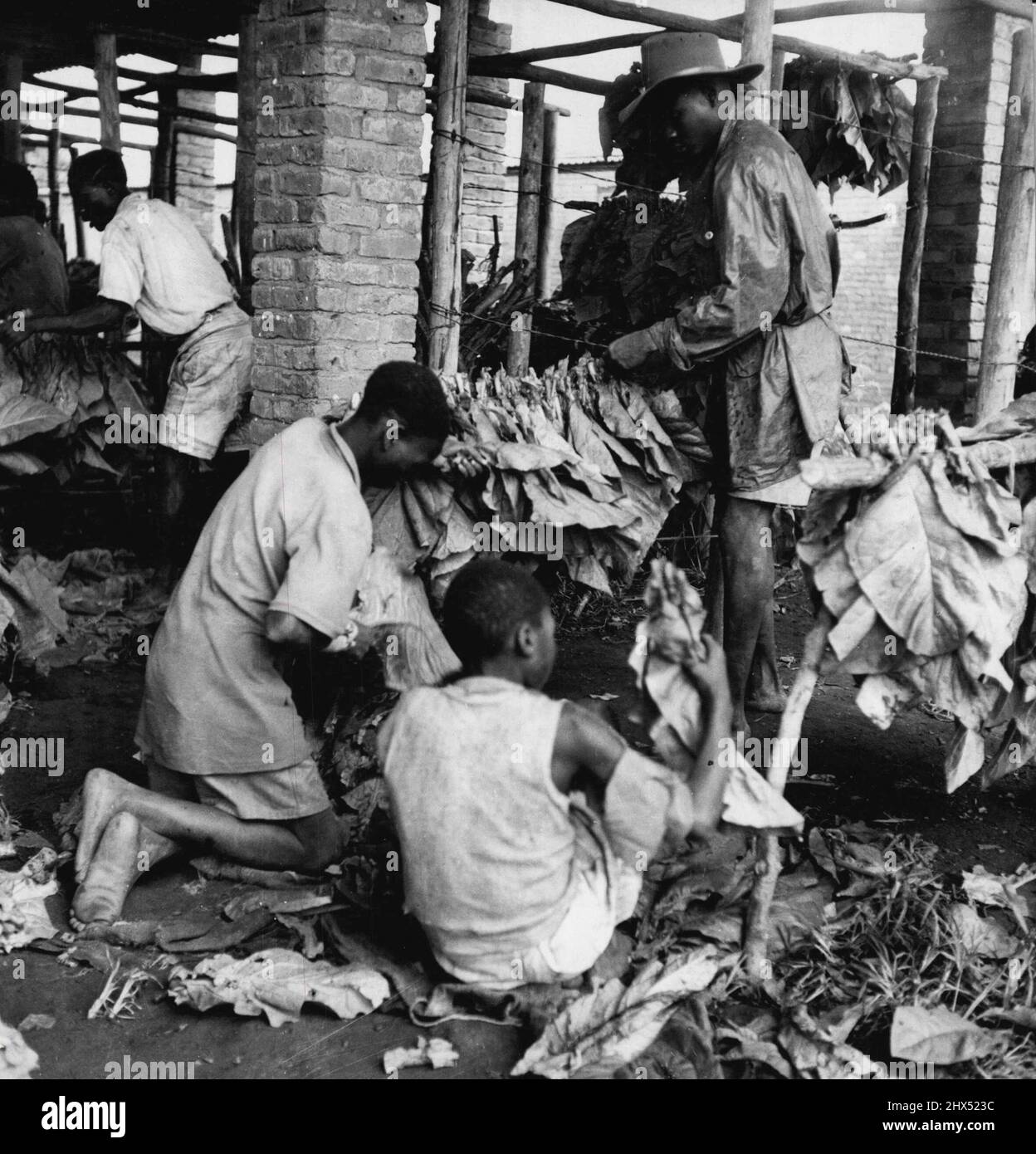 Mcherengi-Life On A Southern Rhodesian Farm -- The piccaninnies carry ...