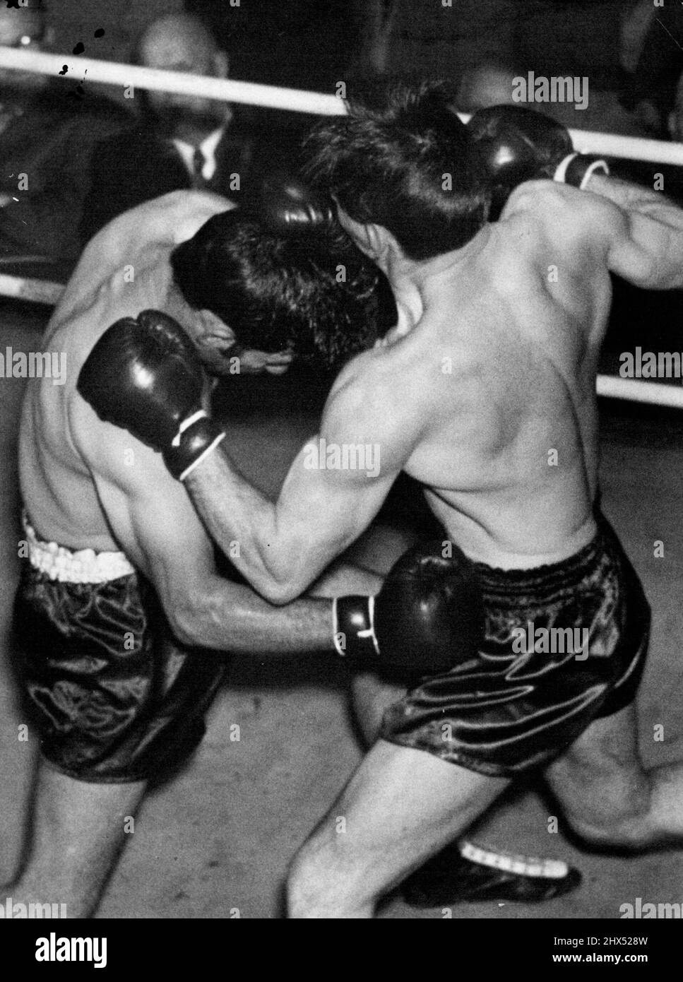 Don Johnson. October 12, 1955 Stock Photo - Alamy