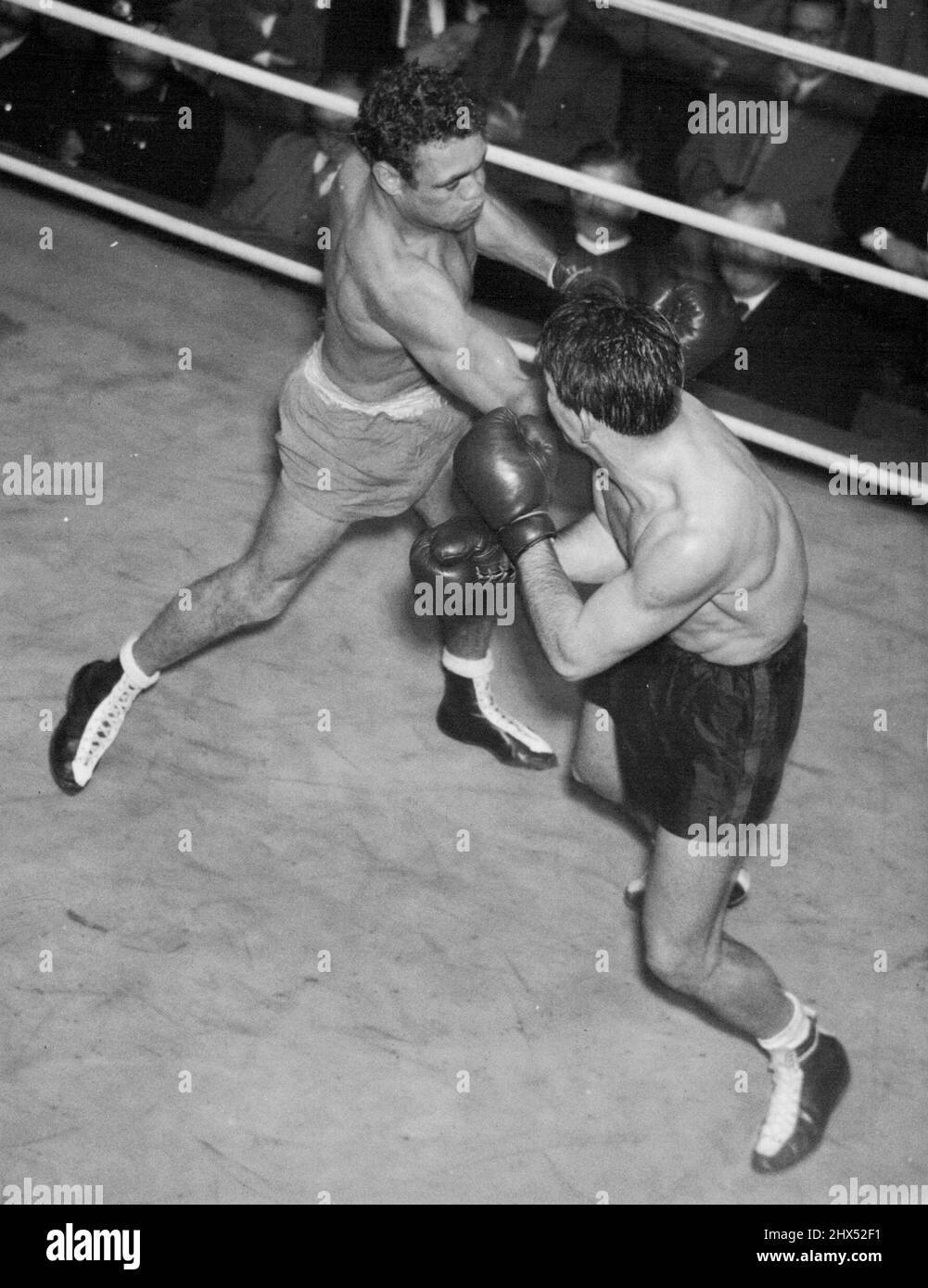 Australian boxer Black and White Stock Photos & Images - Alamy