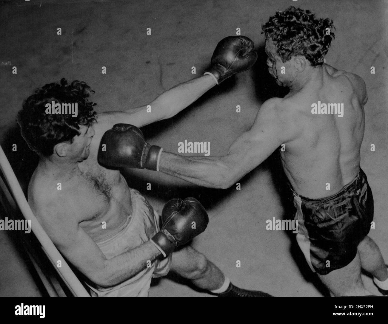 Sands Brothers - Australian Boxing Family (See also: Alf Sands ...