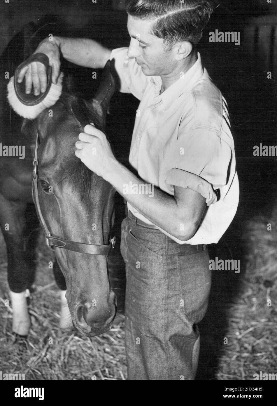 One of the stable boys attending to San Domenico. The horse is a ...