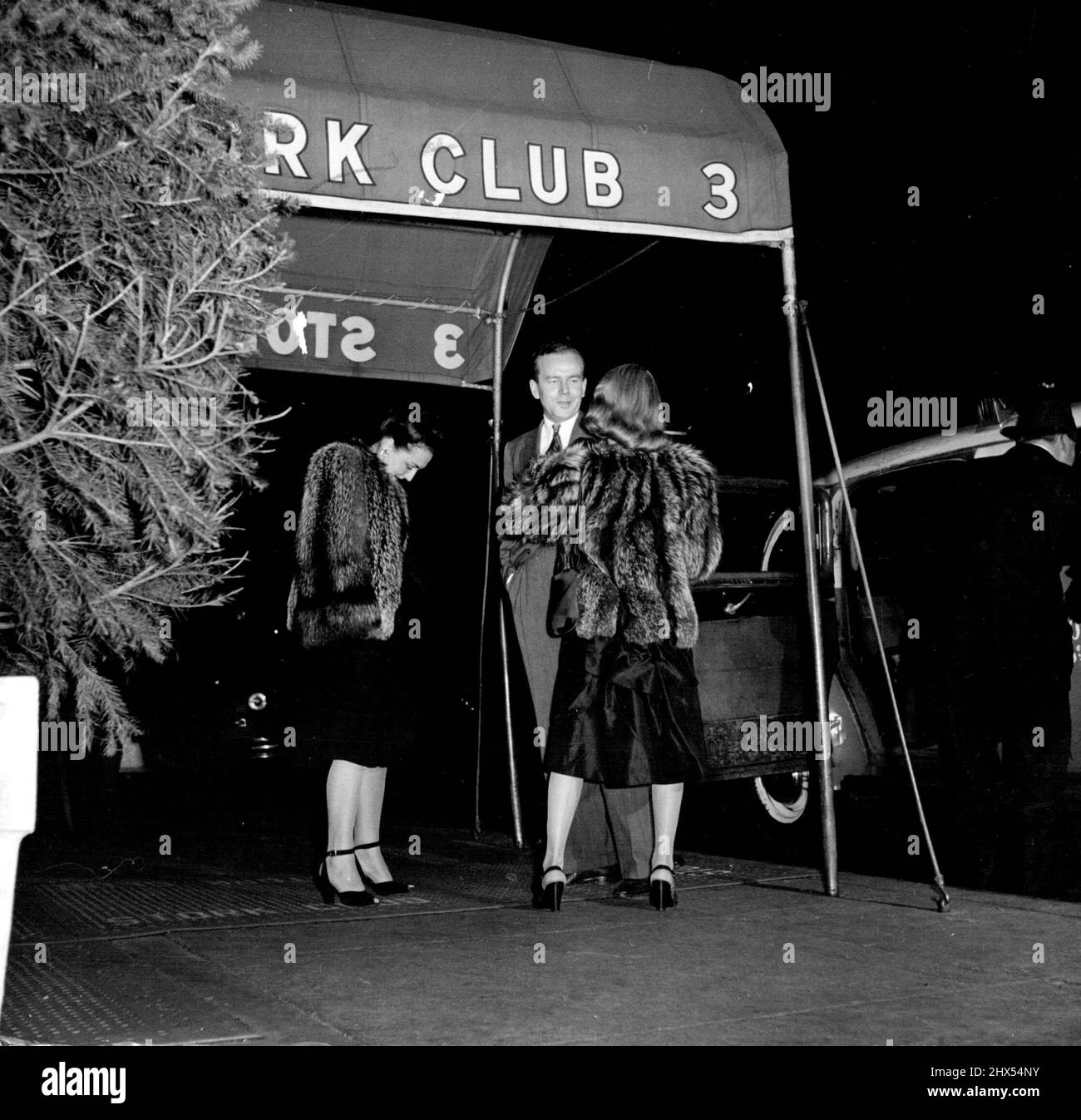 Stork club hi-res stock photography and images - Alamy