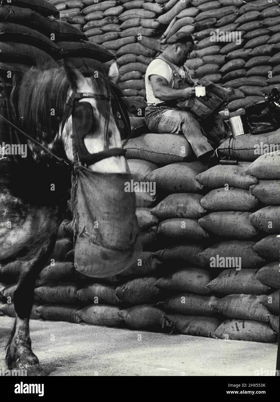 Man eating sugar cane hi-res stock photography and images - Alamy