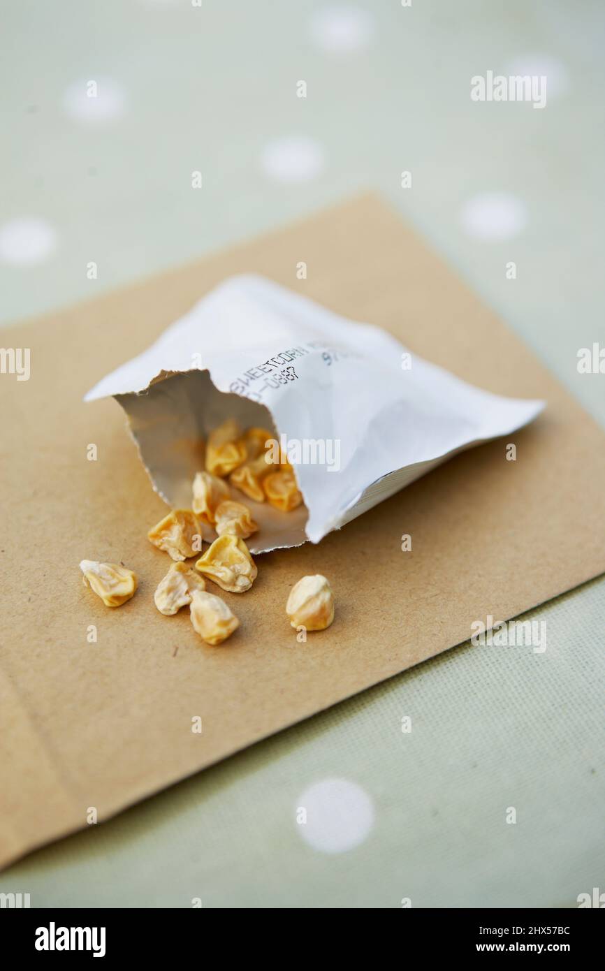 Open sweet packet hi-res stock photography and images - Alamy