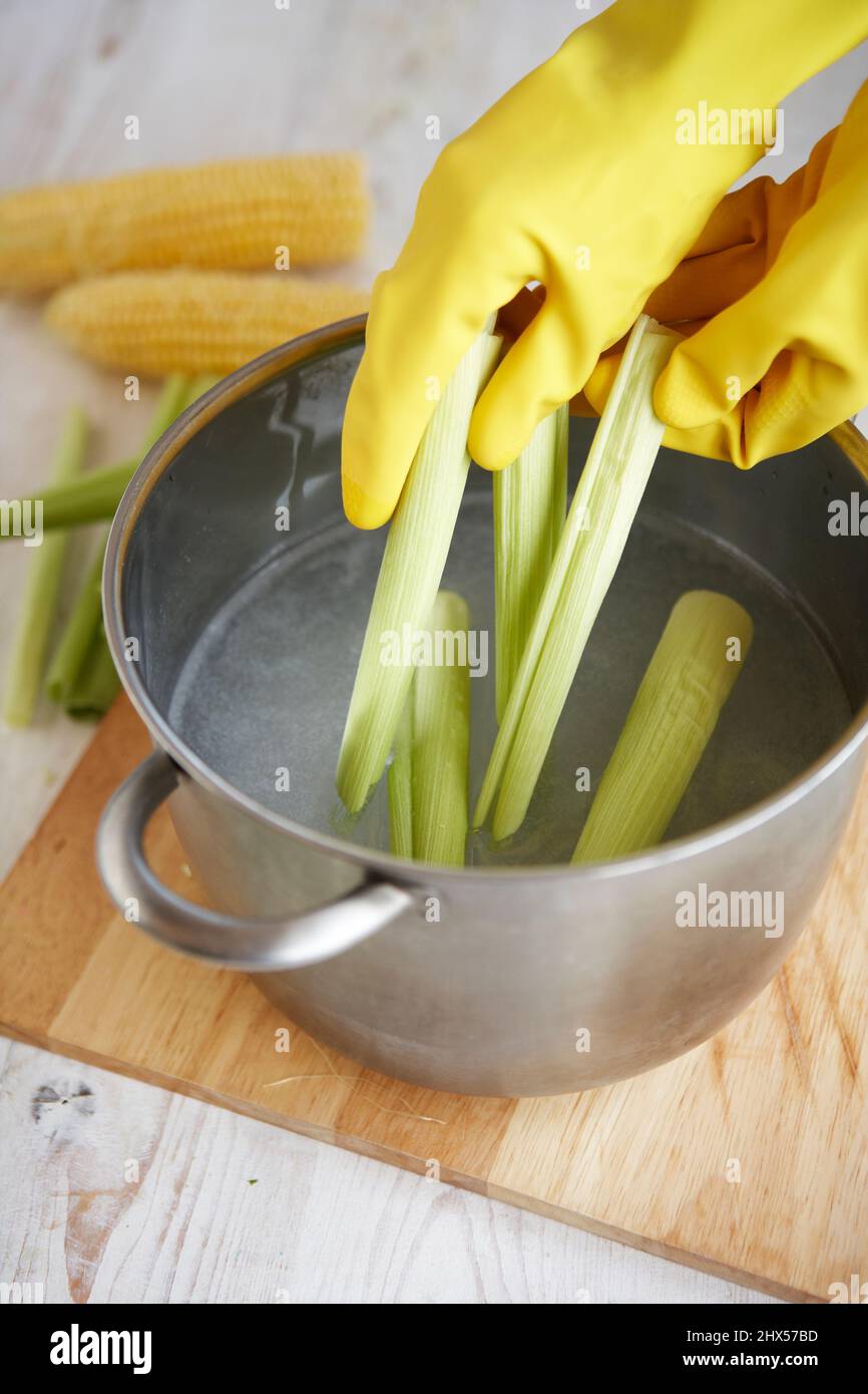 Sweetcorn paper - placing husk in pan of water wearing marigold gloves ...
