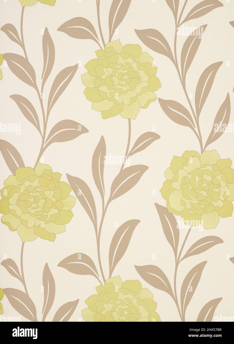 Textured floral pattern hi-res stock photography and images - Alamy