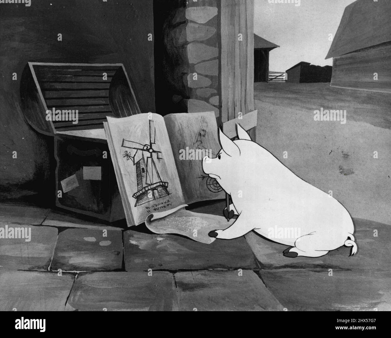 Evil Raccoon Plan Care Plan Urged For Animals In Disasters ABC News