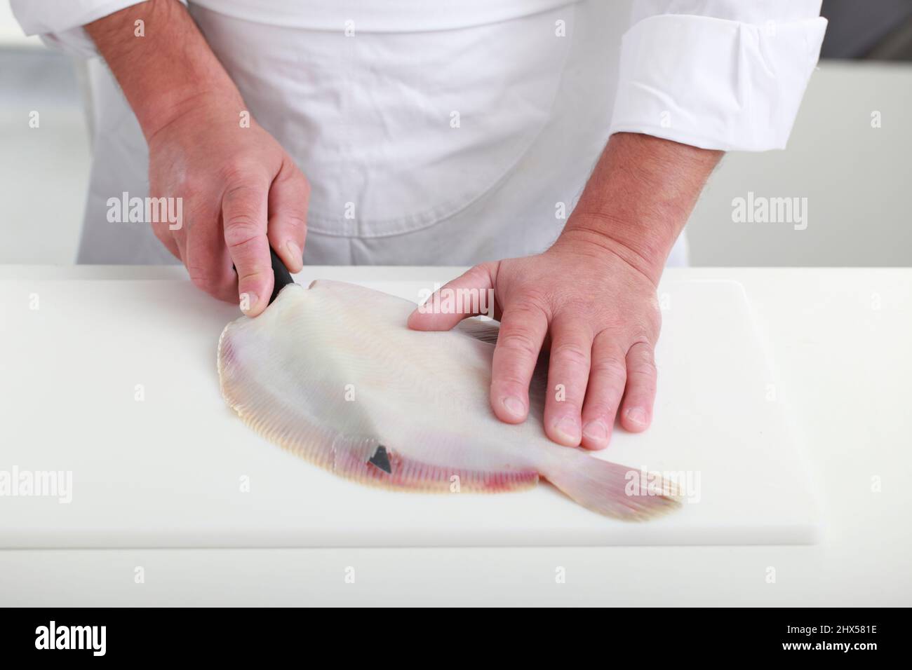 Fish backbone hi-res stock photography and images - Alamy