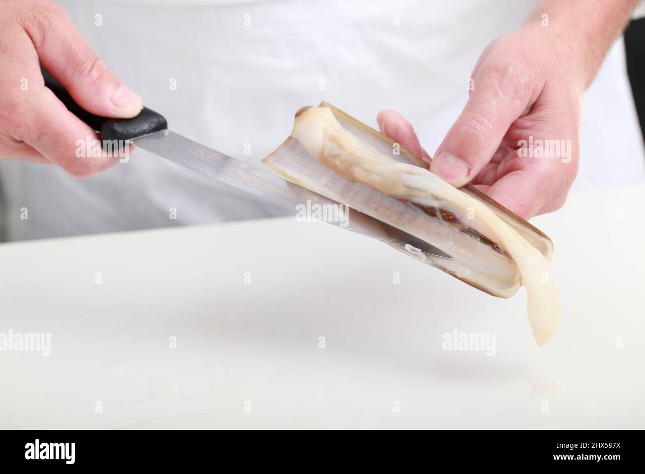 Studio open clam shell hi-res stock photography and images - Alamy