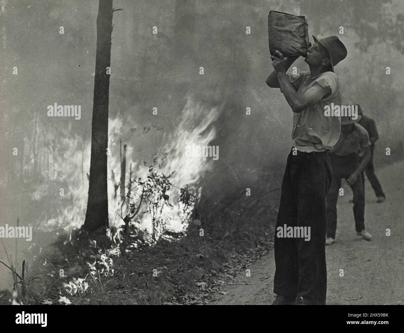 Misc. - Fires - Bushfires - Brigades - Volunteer. November 6, 1950 ...