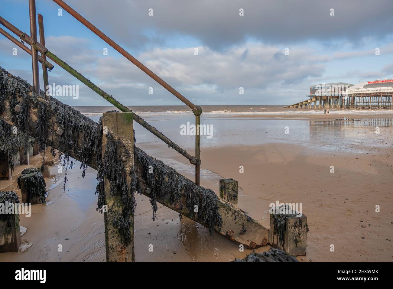 Seaweed covered steps over the wooden groynes and breakers on Cromer ...