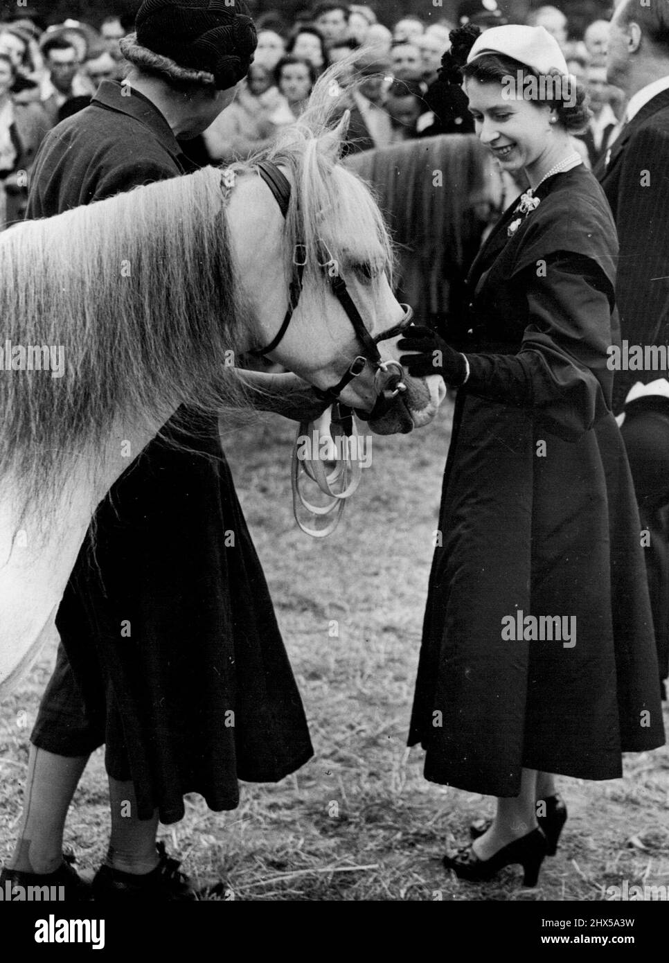 The Queen And The Pony -- The Queen smiles as she pats one of the ...
