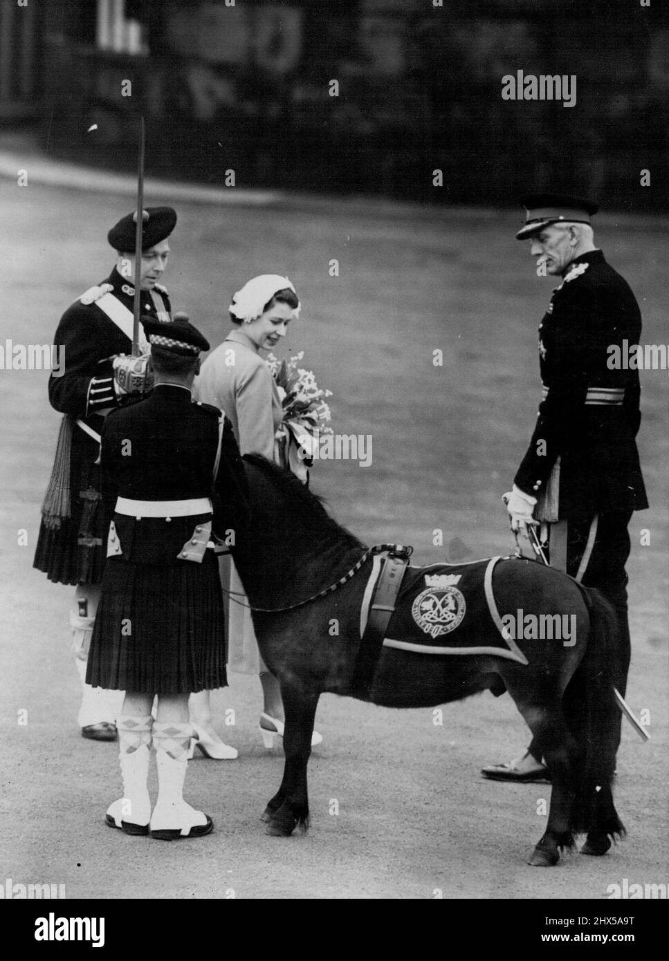 Mcc Highlanders Mascot