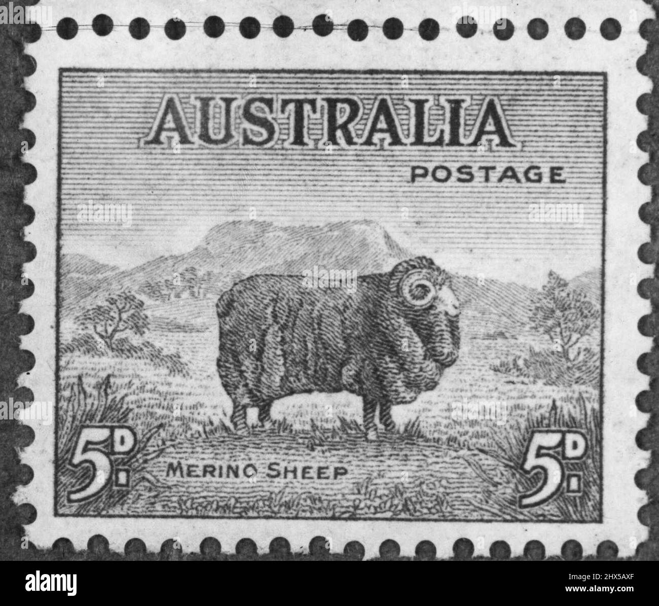 Stamp on color Black and White Stock Photos & Images - Alamy