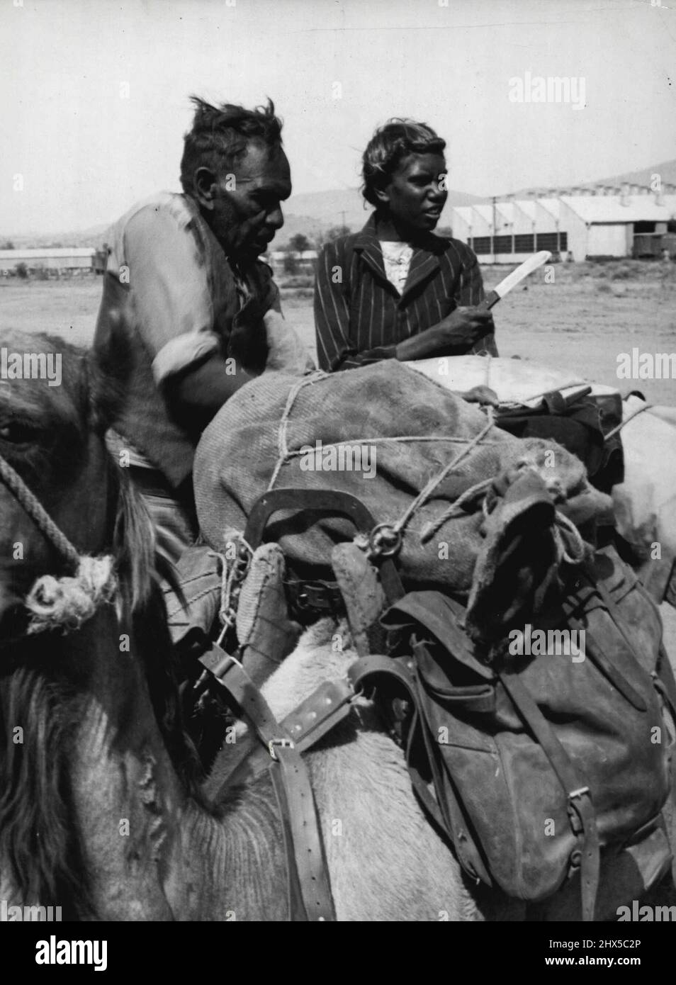Black Paddy, aboriginal black tracker, with his gin, who went with him ...