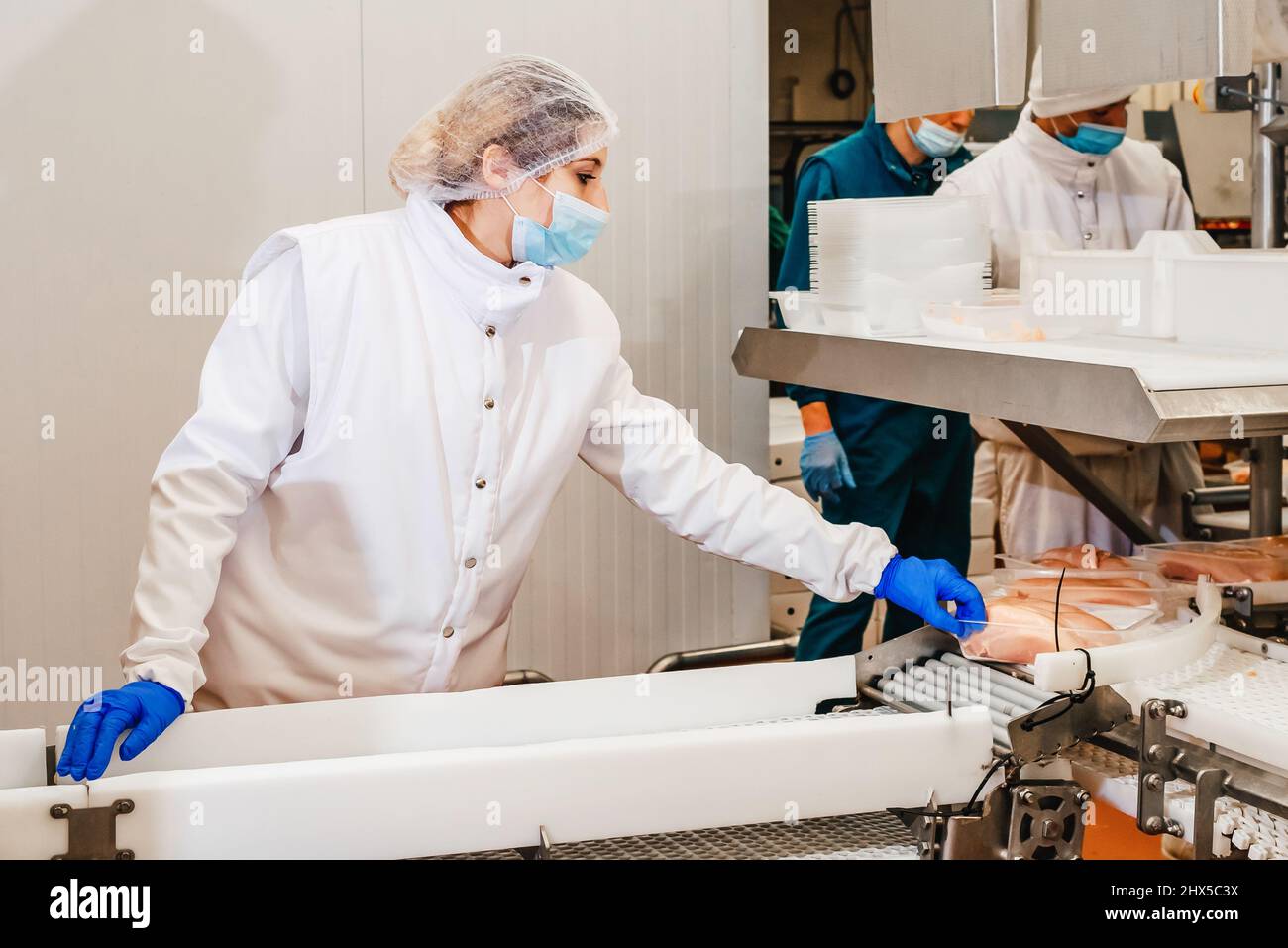 Line for the production of semi-finished meat products.Meat processing ...