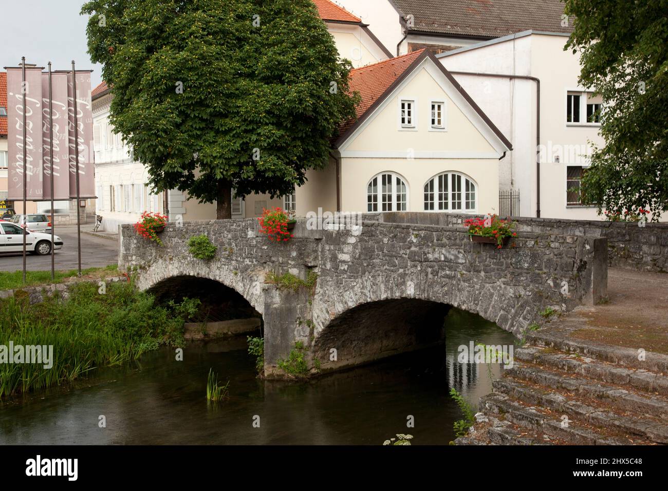 Slovenia, Lower Carniola, Ribnica, town view with river and bridge ...