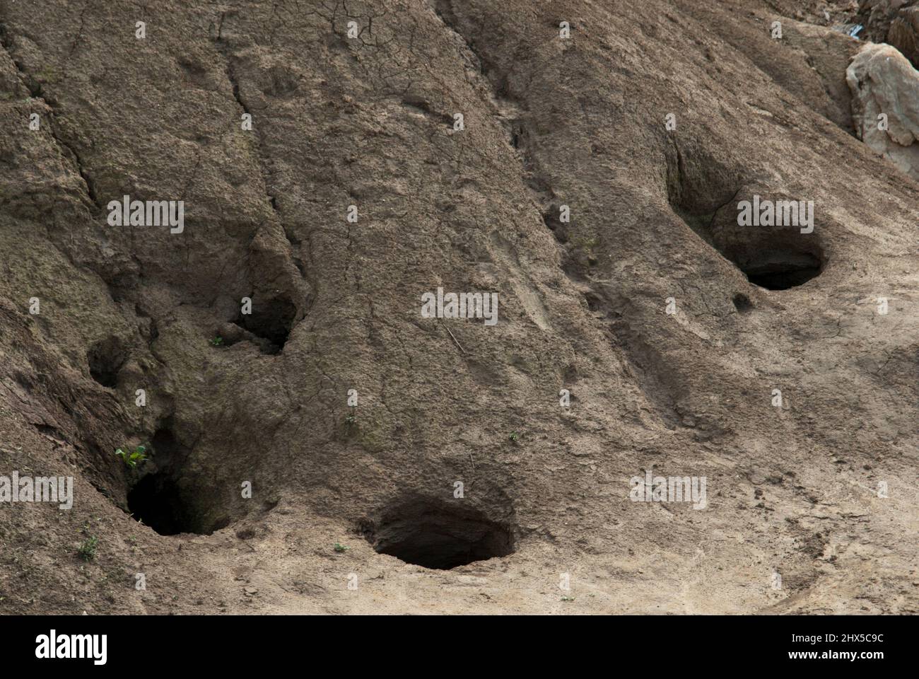 Slovenia, Inner Carniola, Lake Cerknica in dry season - sink holes ...