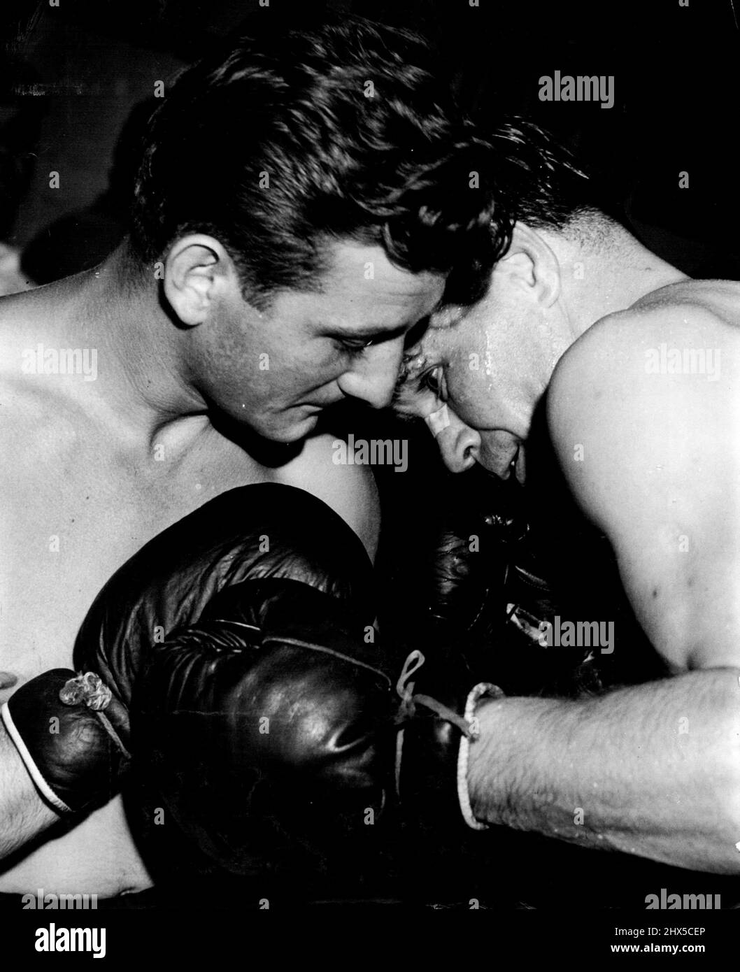 Boxers boxes hi-res stock photography and images - Alamy