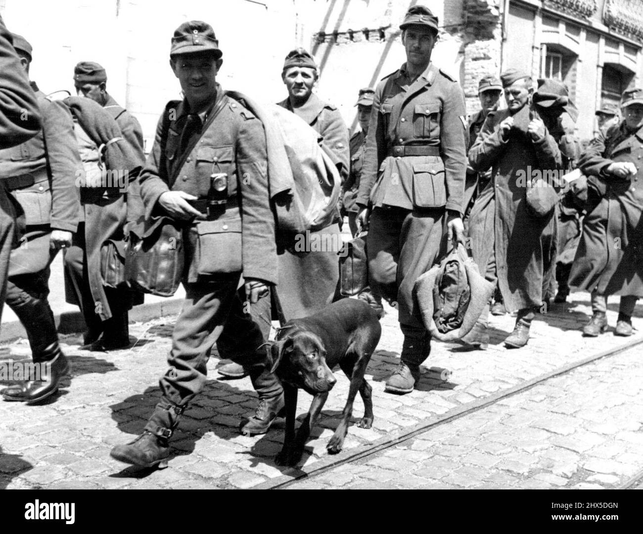 German soldier ww2 with dog hi-res stock photography and images - Alamy