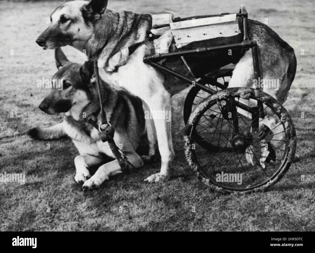 The wheel chair that brought Sylvia a new lease of life. Sitting at the ...