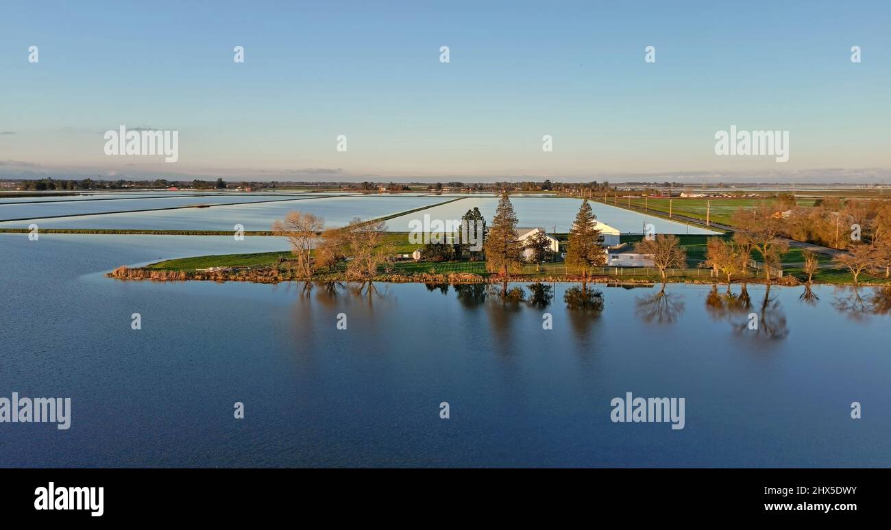 California rice farm flooded during planting season Stock Photo - Alamy