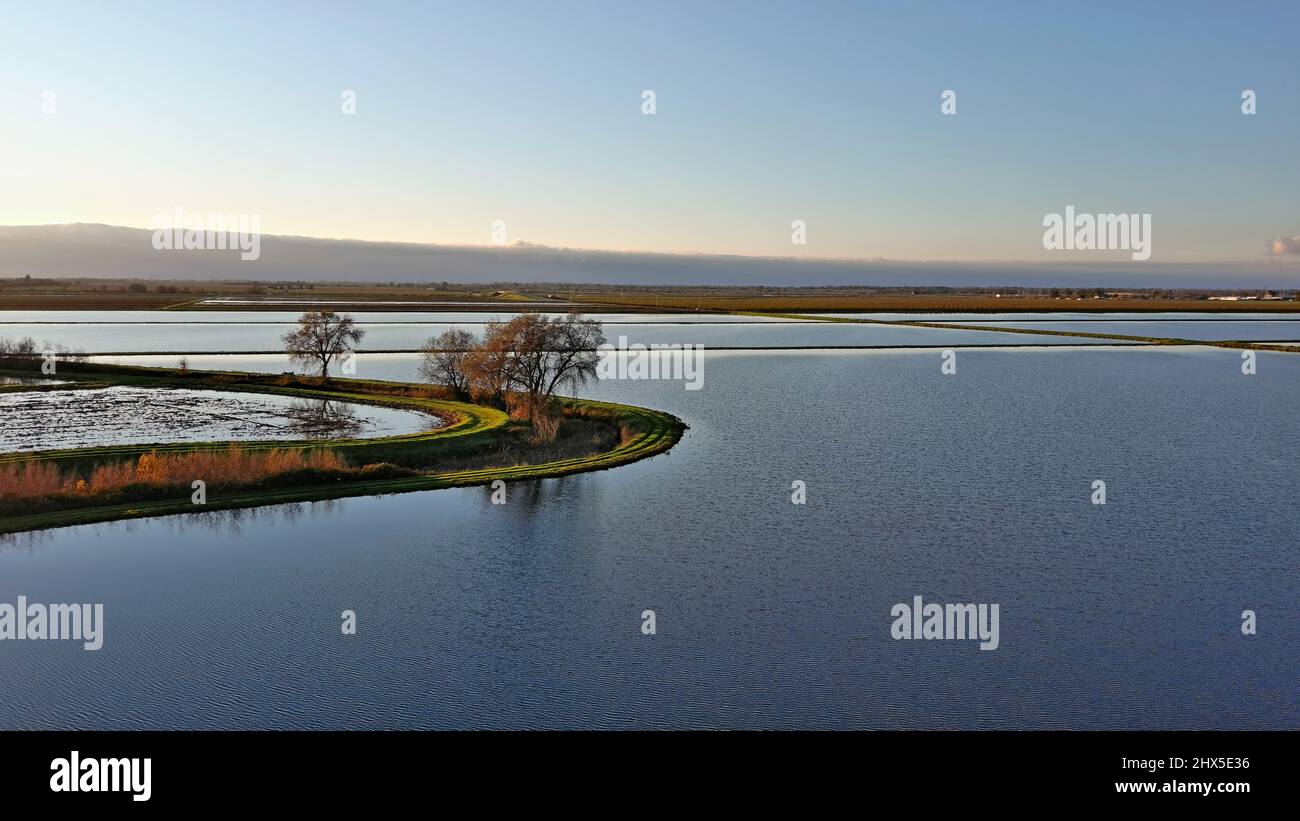 California rice farm flooded during planting season Stock Photo - Alamy