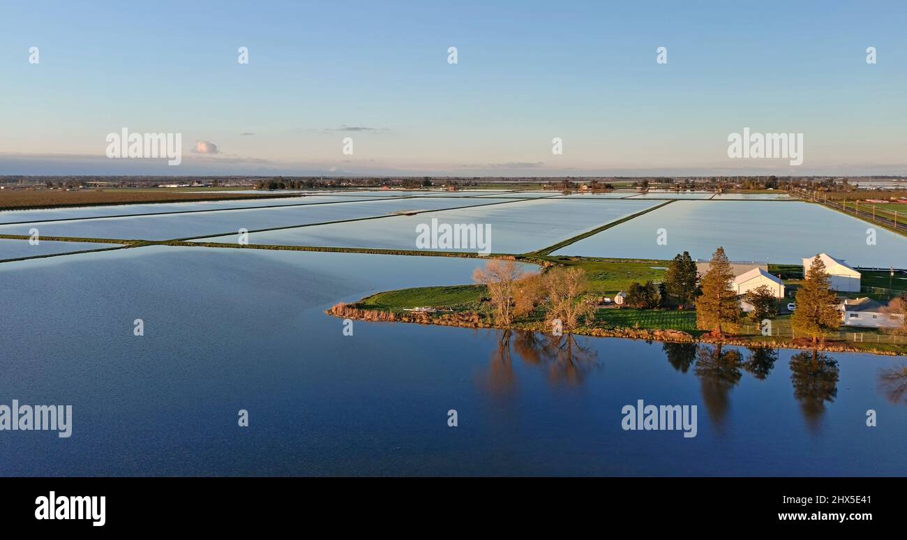 California rice farm flooded during planting season Stock Photo - Alamy