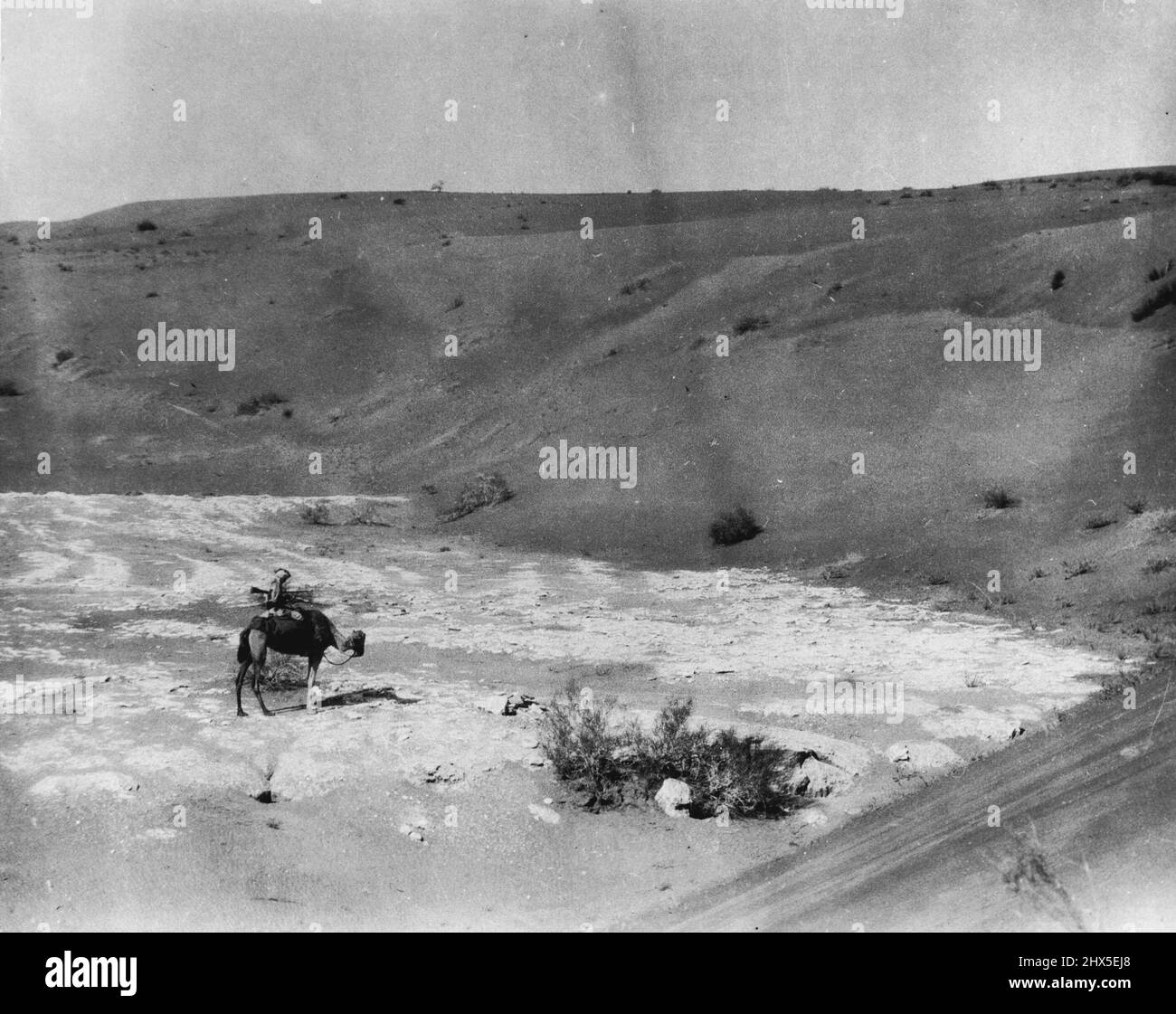 Bertram thomas expedition hi-res stock photography and images - Alamy