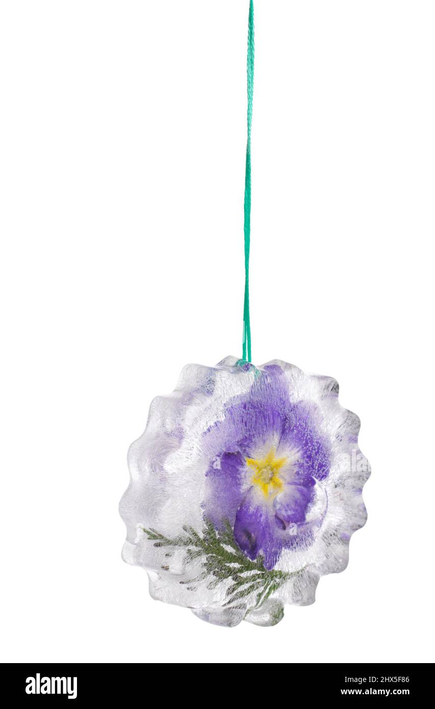 Frozen flower decoration Stock Photo - Alamy