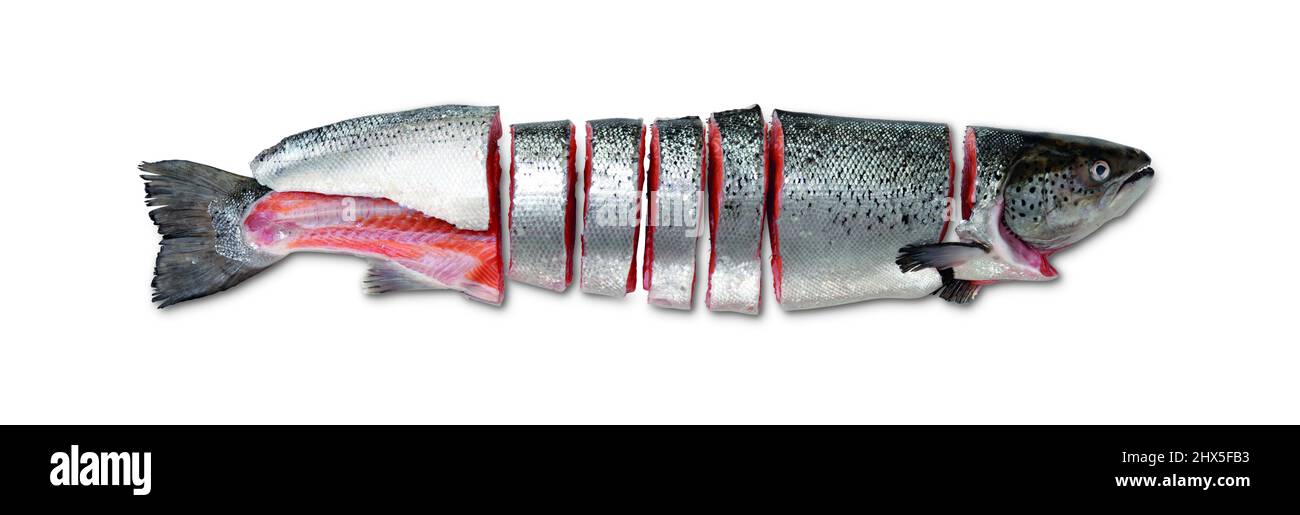 Cuts of a salmon Stock Photo - Alamy