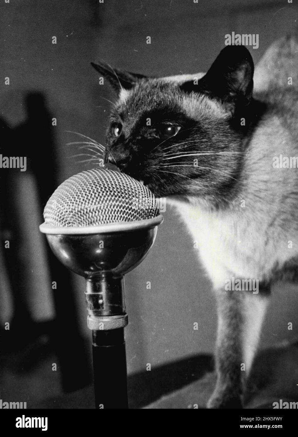 Tai-Lu facing the microphone to make recordings for a new series of ...