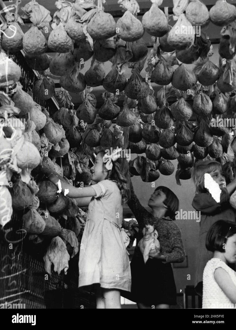 Misc-Christmas-Food Puddings, Cakes - Pies/Sweets, Etc. December 22 ...