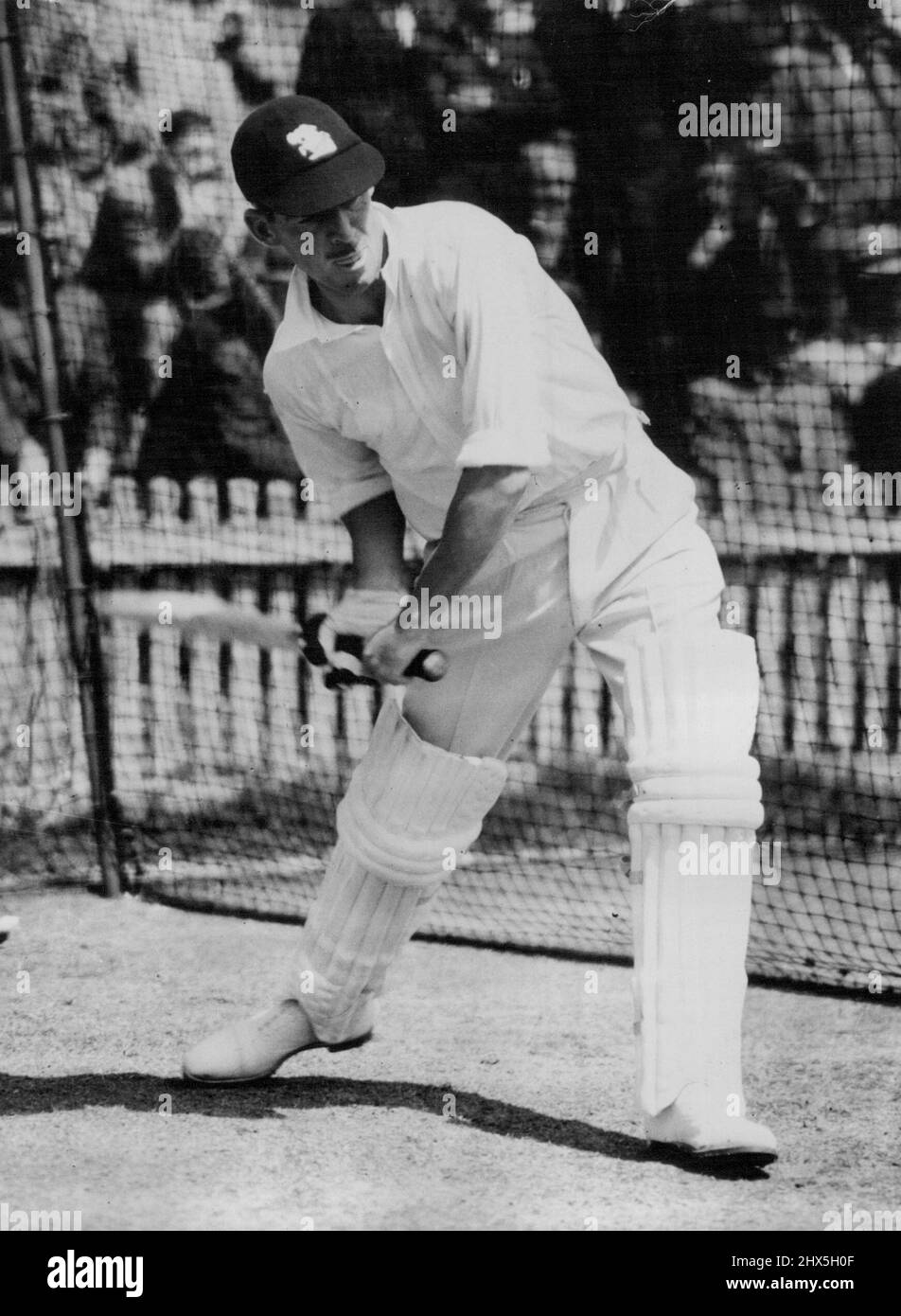 Black peter game hi-res stock photography and images - Alamy