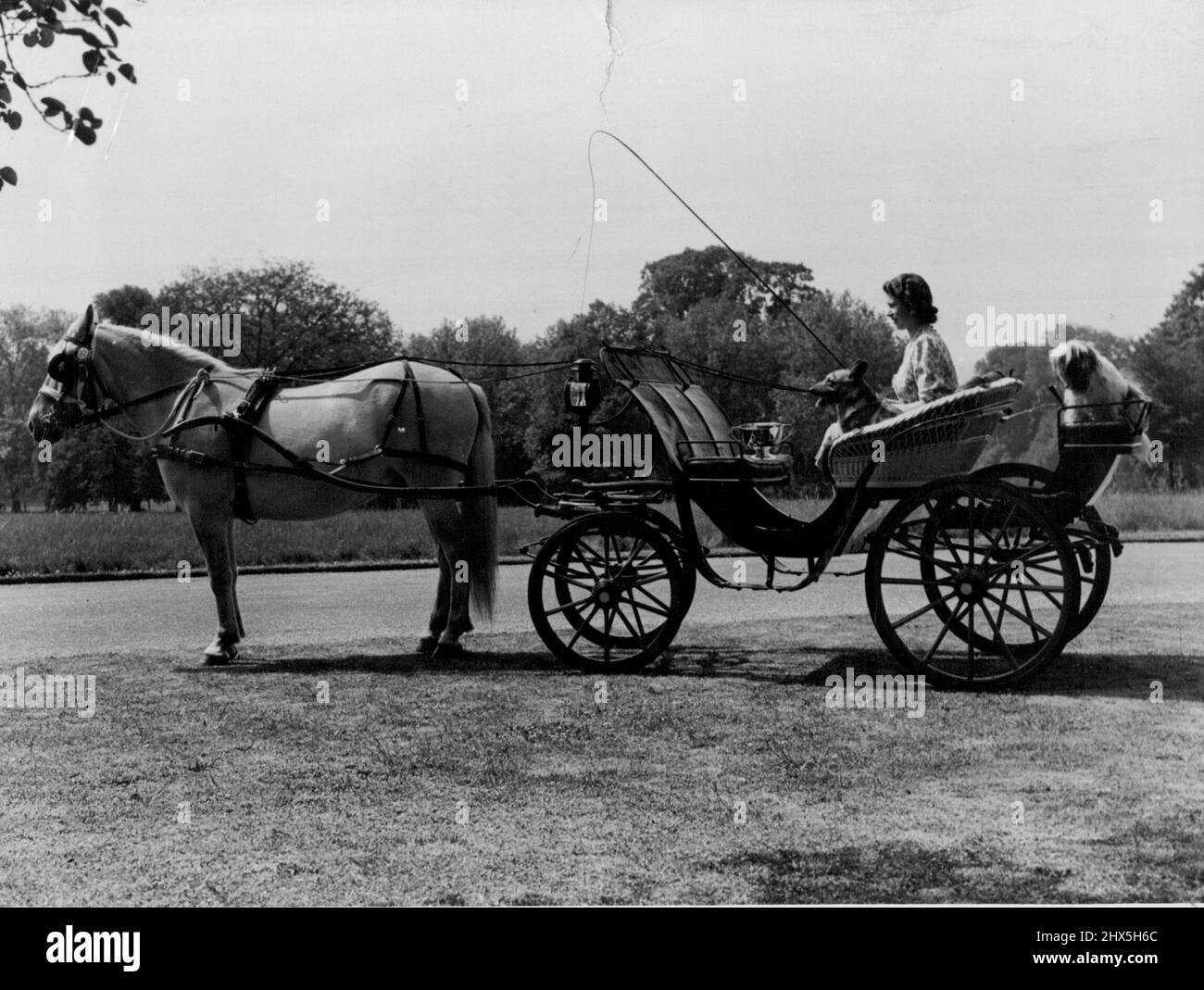 A new picture of Princess Elizabeth with her pony "Hans with which she ...