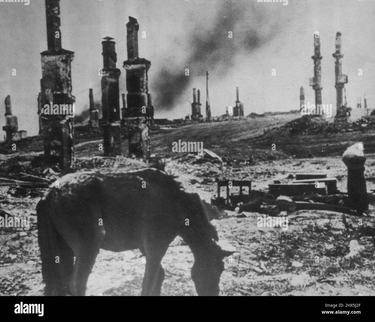 Stalingrad 1943 Black and White Stock Photos & Images - Alamy