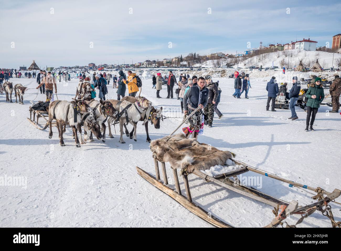 Reindeer sled racing competition at Reindeer Herders Festival in ...