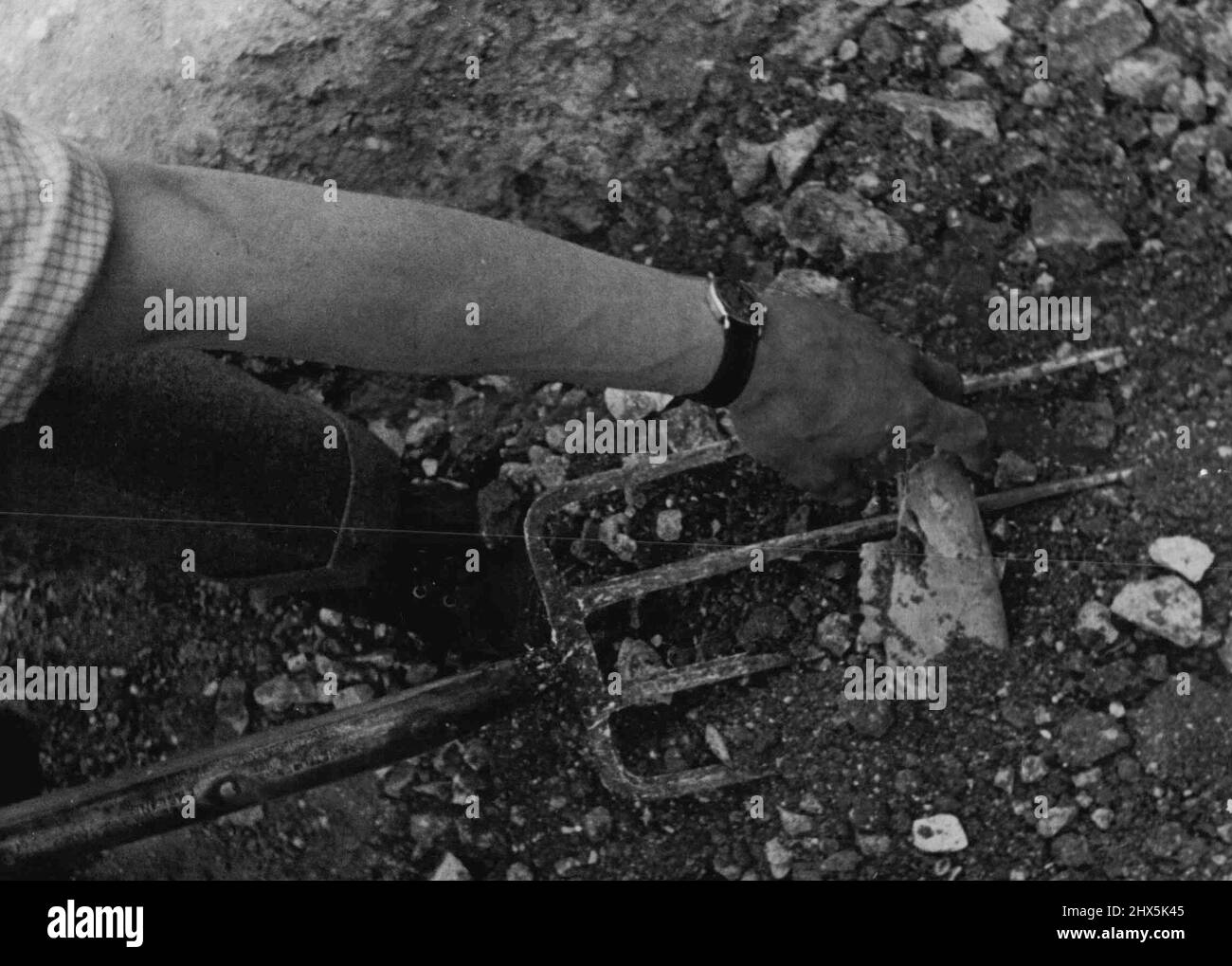 Digging Up A Roman -- The fork turns up a clue. In the crumbly chalk, a ...