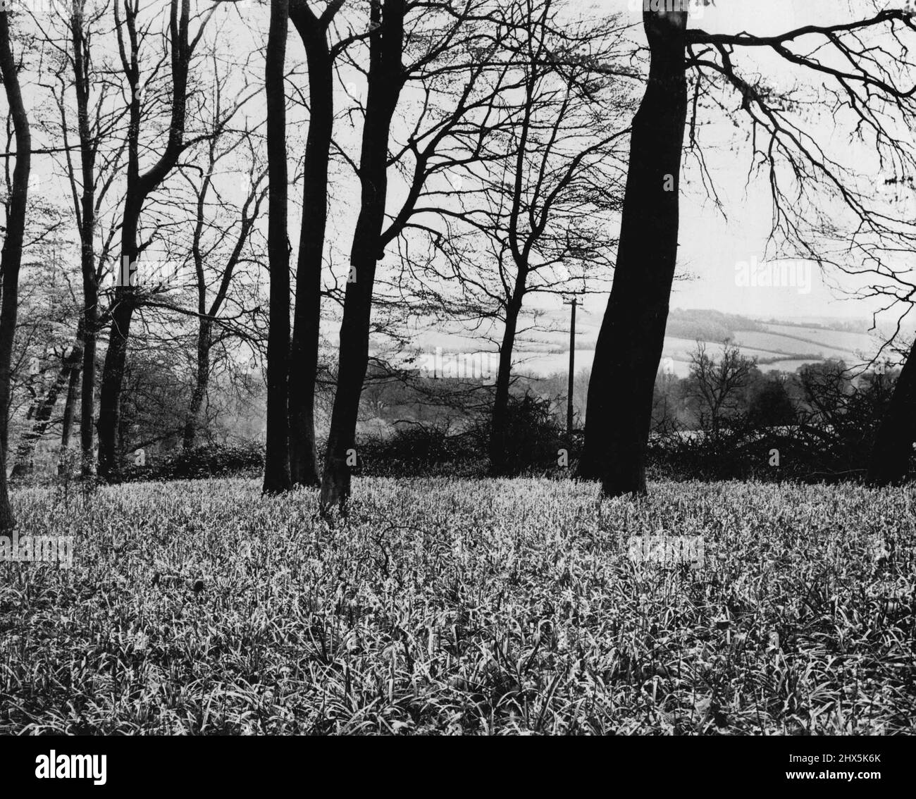 General scenes past picture pictures retro vintage hi-res stock ...