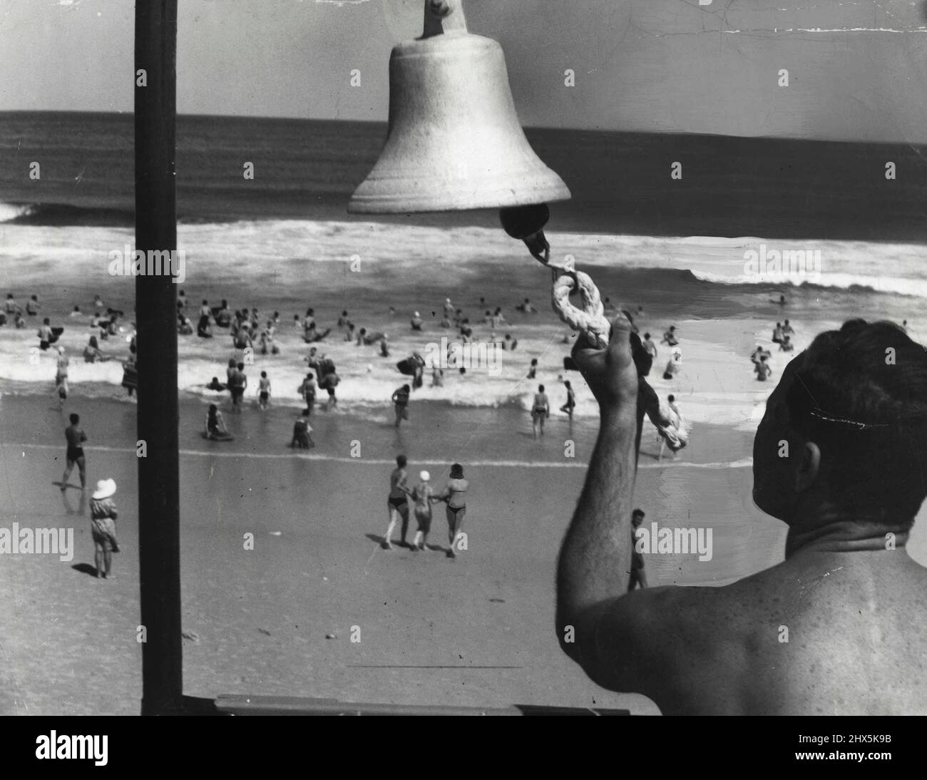 Don't panic when shark bell ***** many people are seriously injured ...