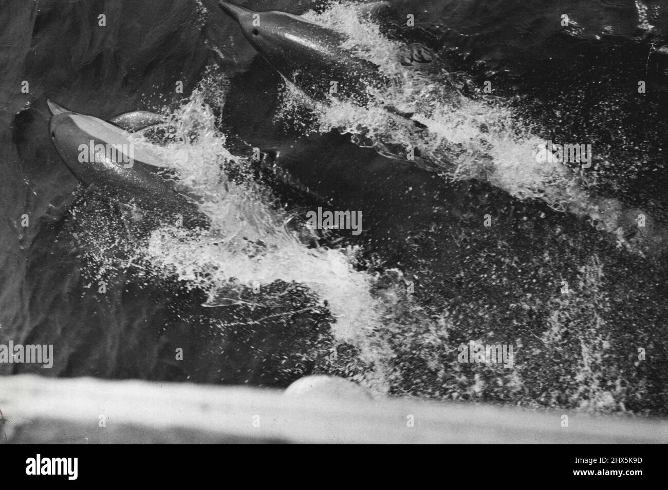 Gordon herbert short hi-res stock photography and images - Alamy