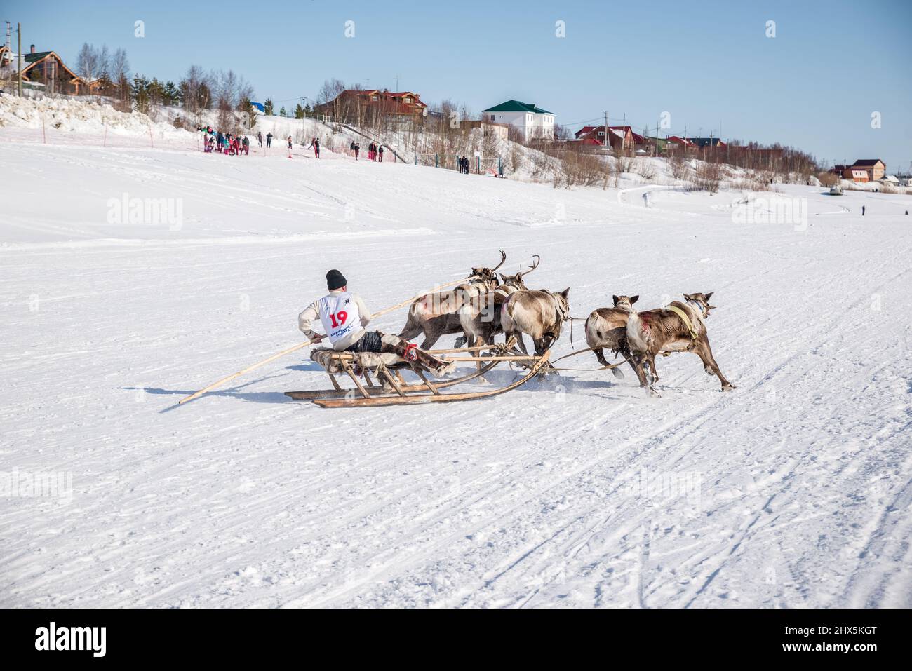 Reindeer Competition