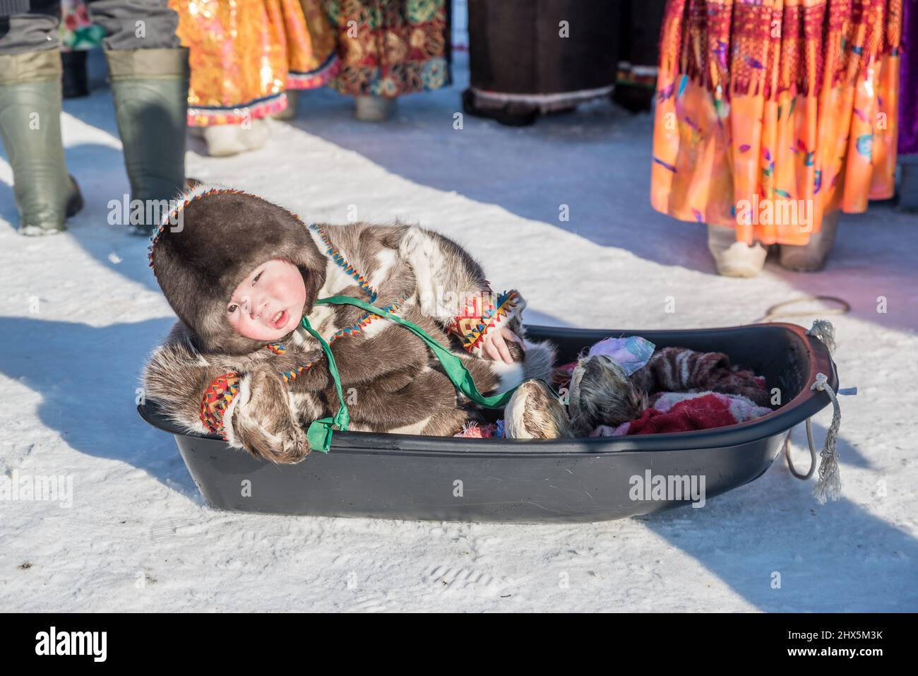 A young Nenet boy lying down on a plastic sled at Reindeer Herders ...