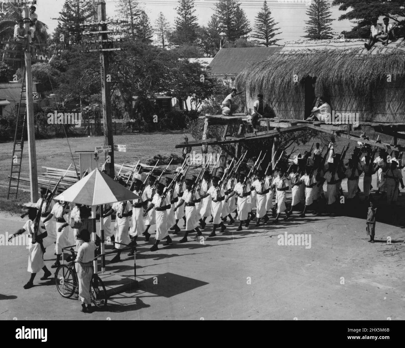 Types Of People - Tonganese Natives. January 15, 1954 Stock Photo - Alamy