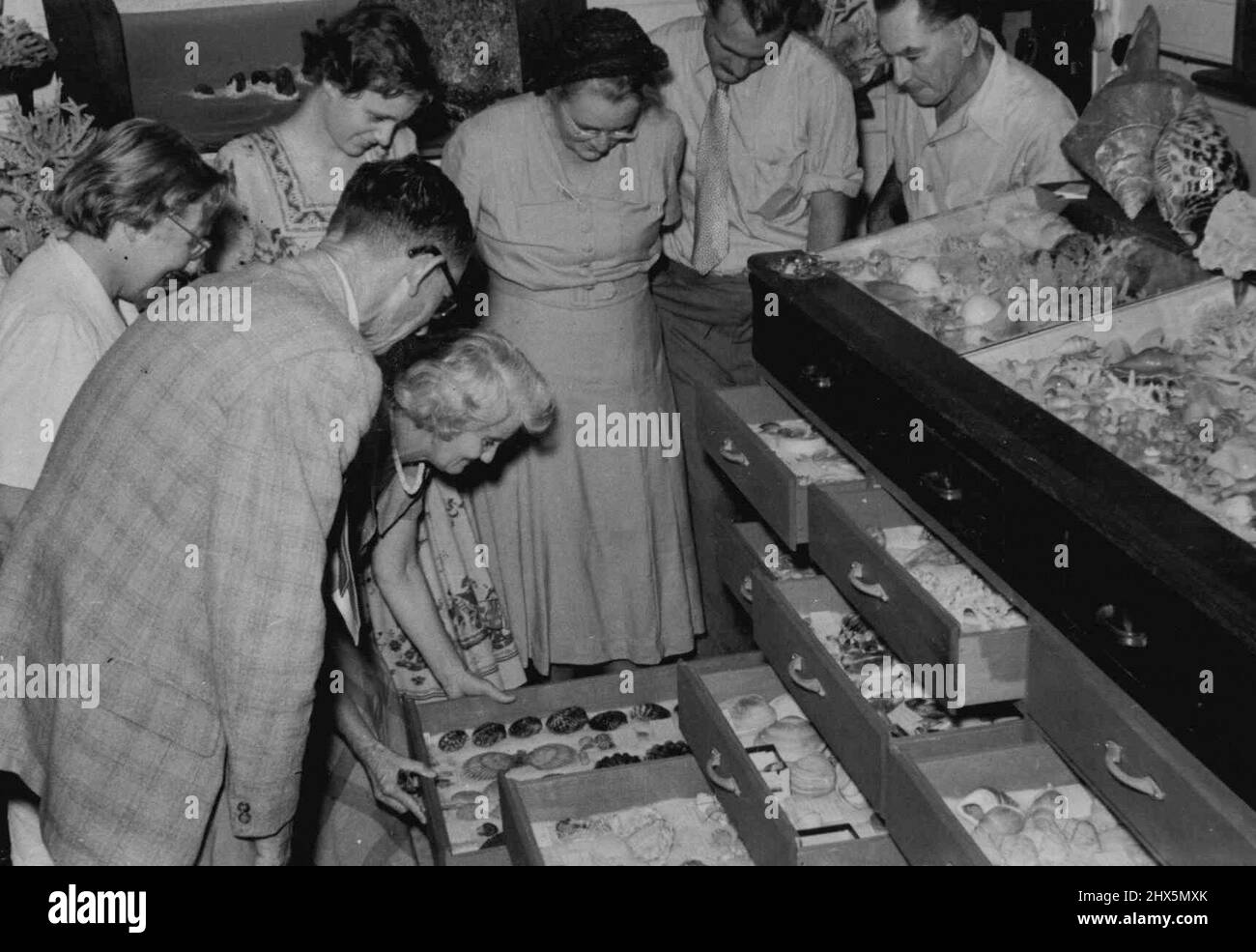 Which origin 20th century hi-res stock photography and images - Alamy