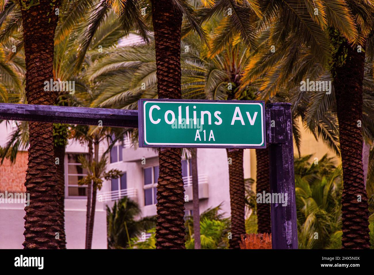 Collins street sign hi-res stock photography and images - Alamy